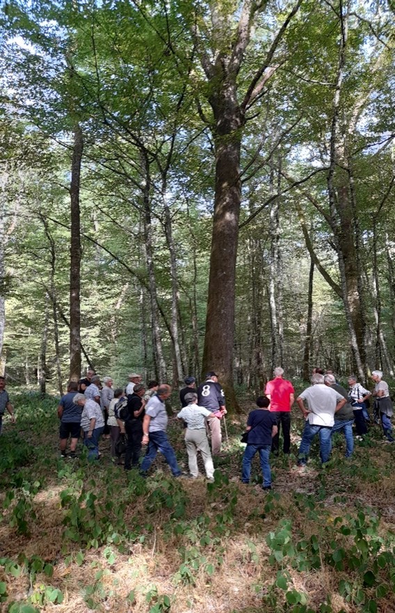 Fransylva - Forestiers Privés des Vosges : Tournée forestière dans le ...